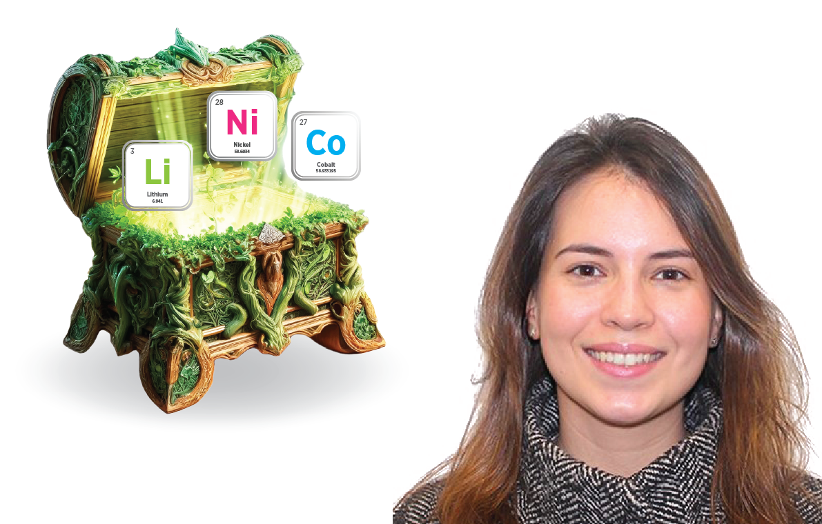 Joining the Dots in Critical Metals, Energy and Sustainability | SFA ...